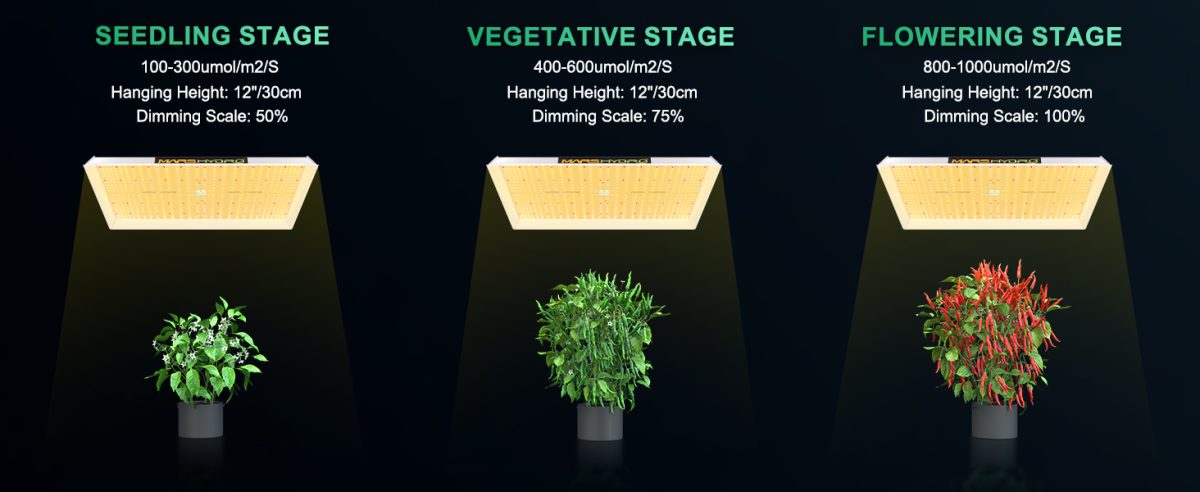 Mars Hydro TS3000 Full Spectrum Hydroponic LED Grow Lights