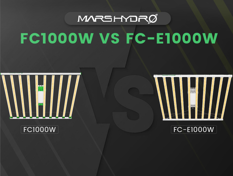 Mars Hydro FC1000W VS. FC-E1000W LED Grow Lights