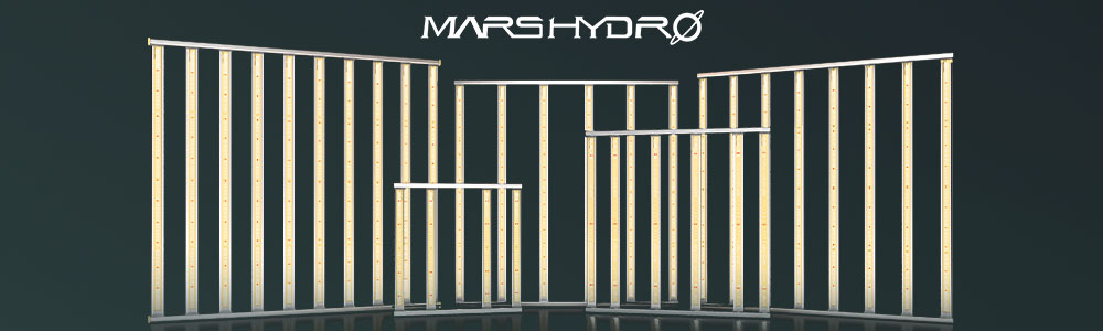 8 Tips to Success in Hydroponics