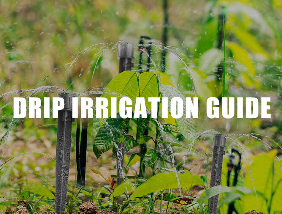 Drip Irrigation: The Ultimate Guide for Beginners